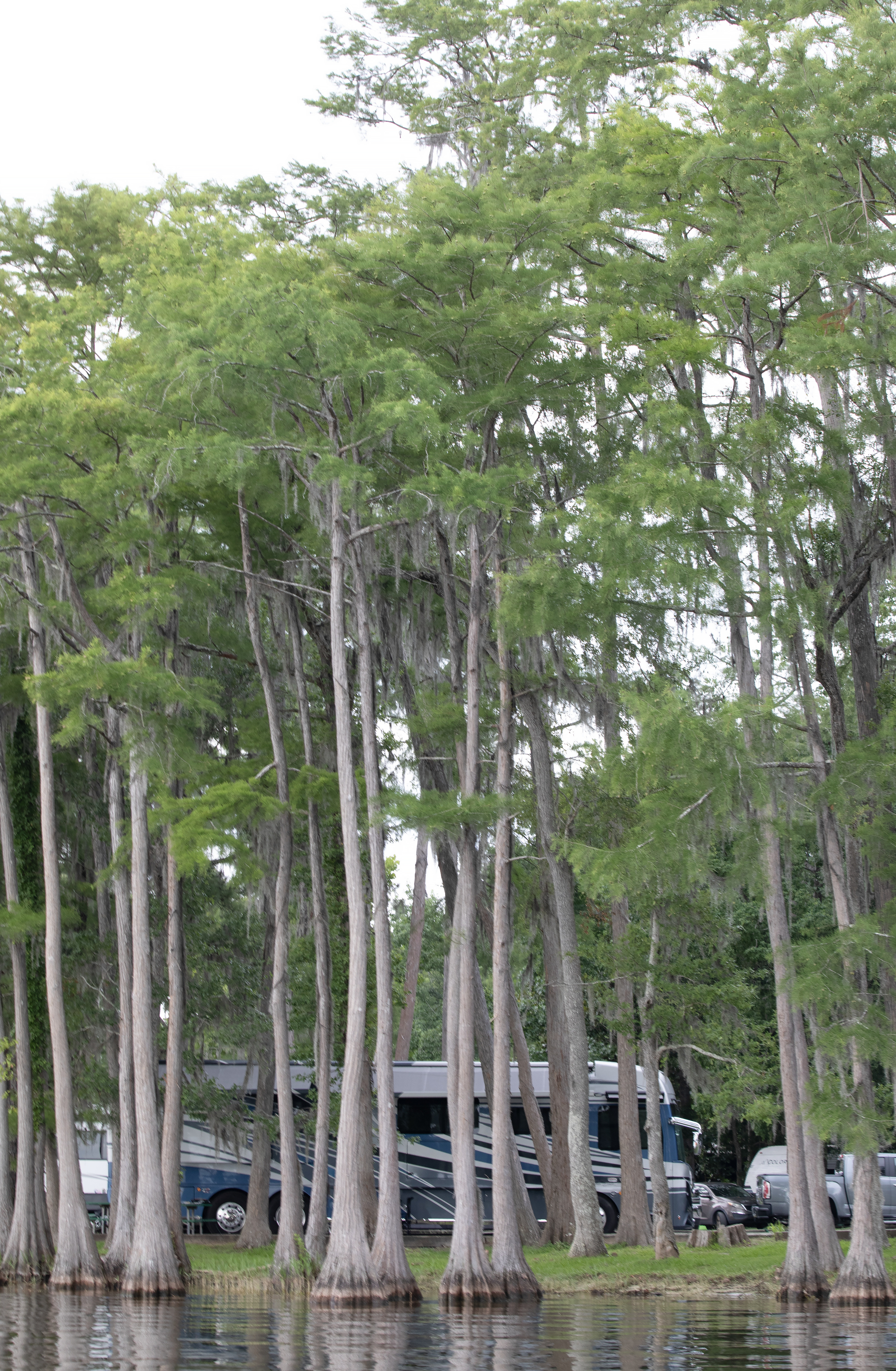 Florala, AL - Lake Jackson